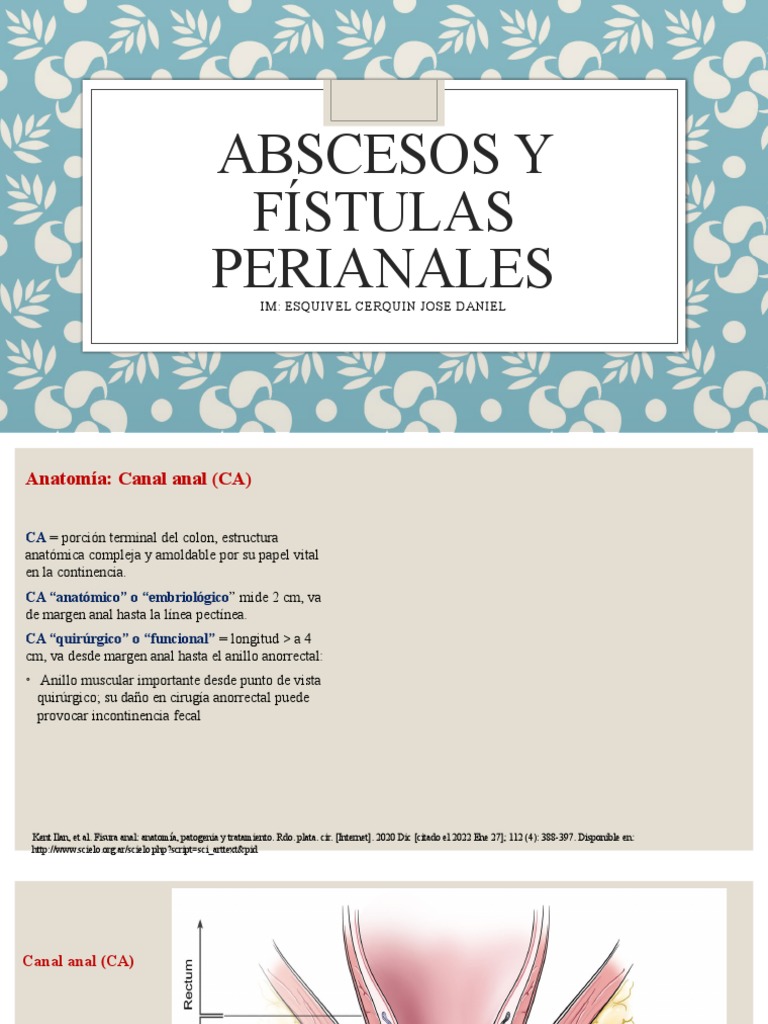 Abscesos y Fístulas Perianales EXPO END | PDF | Especialidades Medicas ...