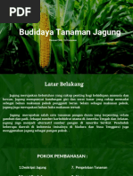 Analisa Usaha Tani Jagung Per Hektar | PDF