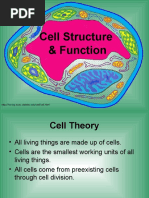 Grade 10 Cell - Structure - Function | PDF | Endoplasmic Reticulum ...