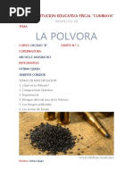 Clasificacion de La Polvora | PDF | Pólvora | Pirotécnica