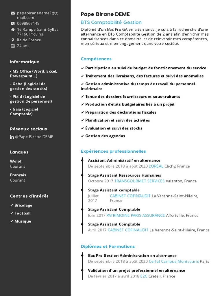 CV - BTS CG - Pape Birane - DEME 2 | Descargar gratis PDF | France | Business