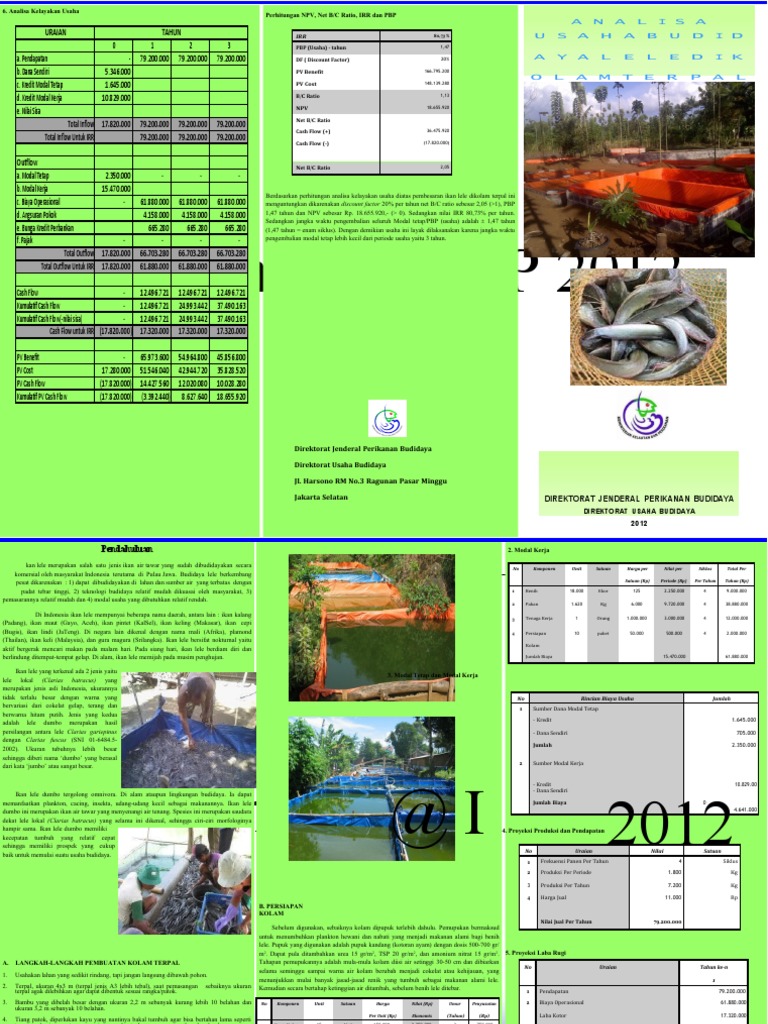Leaflet Analisa Usaha Pembesaran Ikan Lele Di Kolam Terpal | PDF