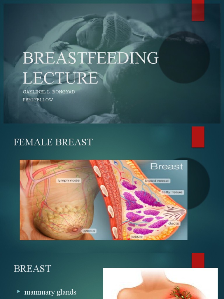 breastfeeding - anatomy and physiology | PDF | Breast | Lactation