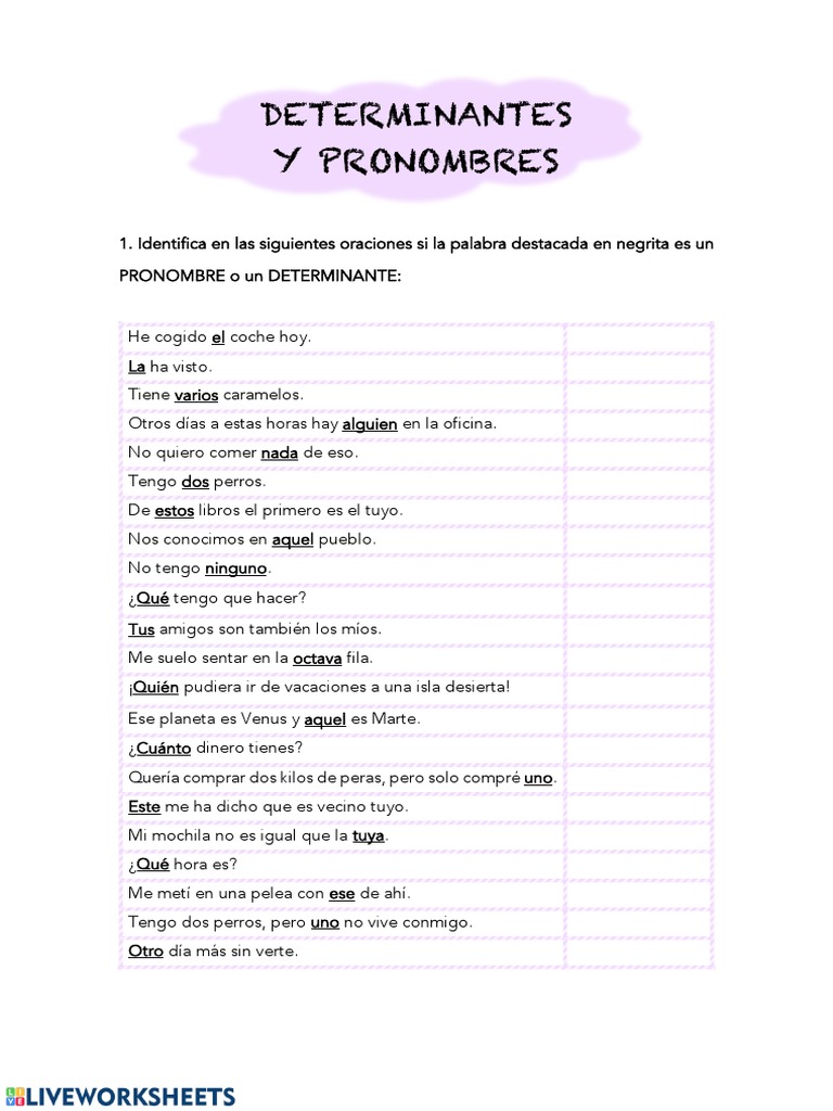 Determinantes y Pronombres | PDF