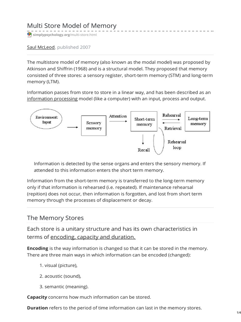 Multi Store | PDF | Memory | Long Term Memory