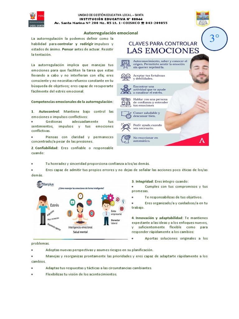 Autorregulación Emocional Pdf Las Emociones Inteligencia Emocional