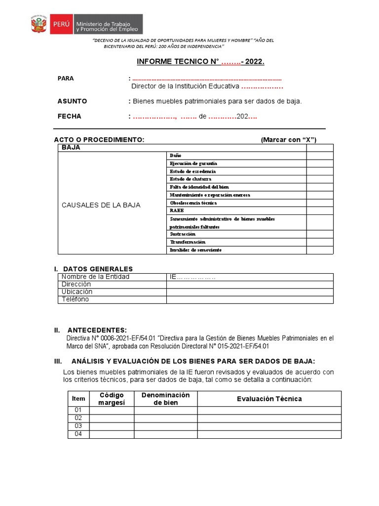 10a - Informe Técniico para Bajas - Maq. y Equipo | PDF