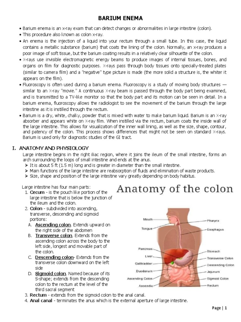Barium Enema Procedure Overview | PDF | Large Intestine | Rectum