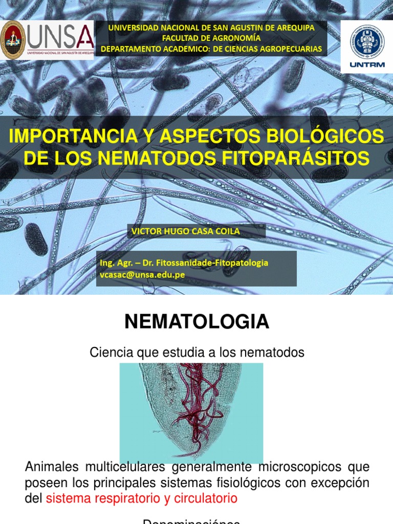 Nematodos Fitoparasitos | PDF | Nematodo | Organismos
