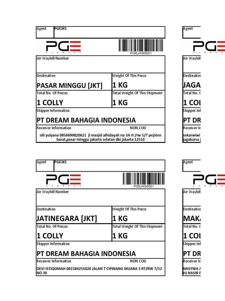 Delivery Details of Parcels Shipped by PT Dream Bahagia Indonesia Courier Service | PDF ...