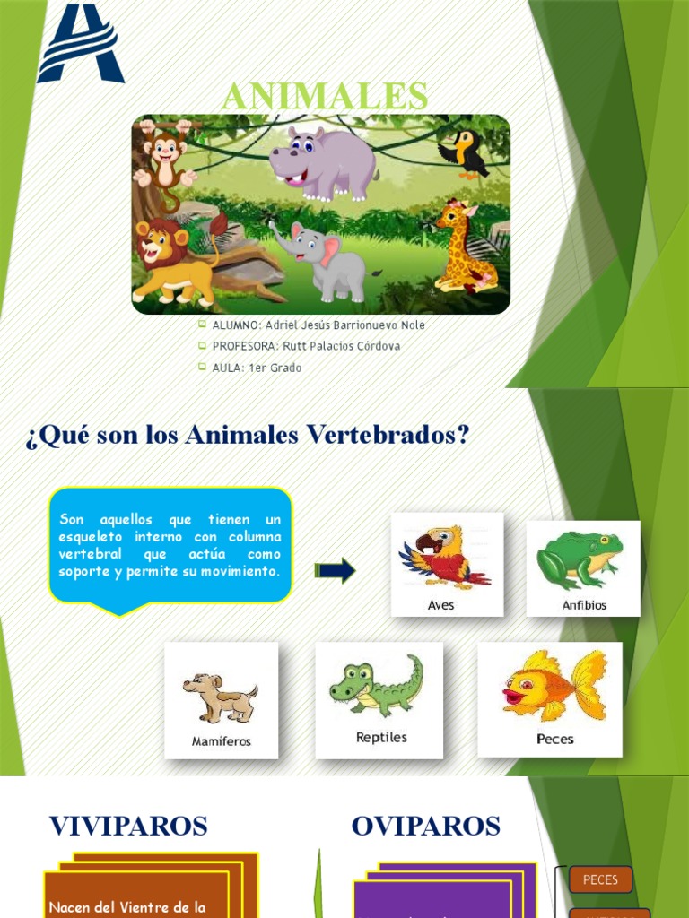 Clasificación de Animales Vertebrados | PDF