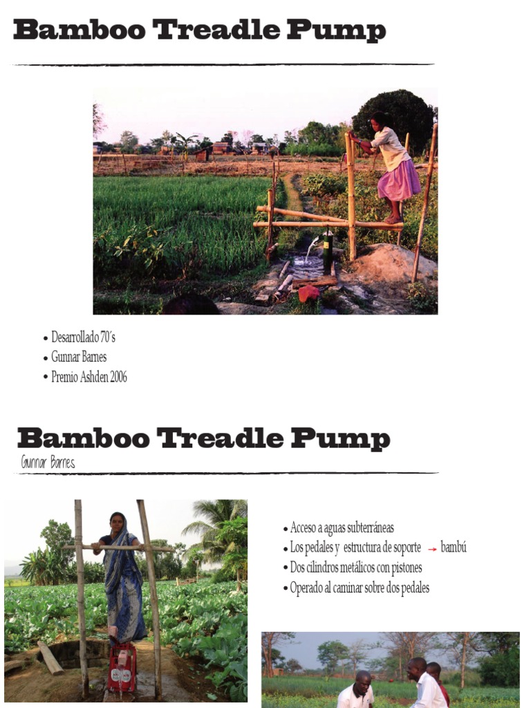 Bambu PDF | PDF | Science | Ciencia y Tecnología