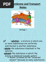 Amoeba Sisters Video Recap | PDF | Cell Membrane | Cell (Biology)