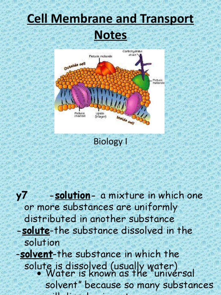 Cell Membrane Transport Notes | PDF | Cell Membrane | Osmosis