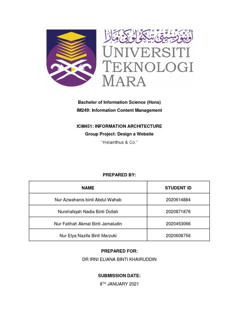 ICM451 Group Project Report PDF | PDF | Websites | Typography