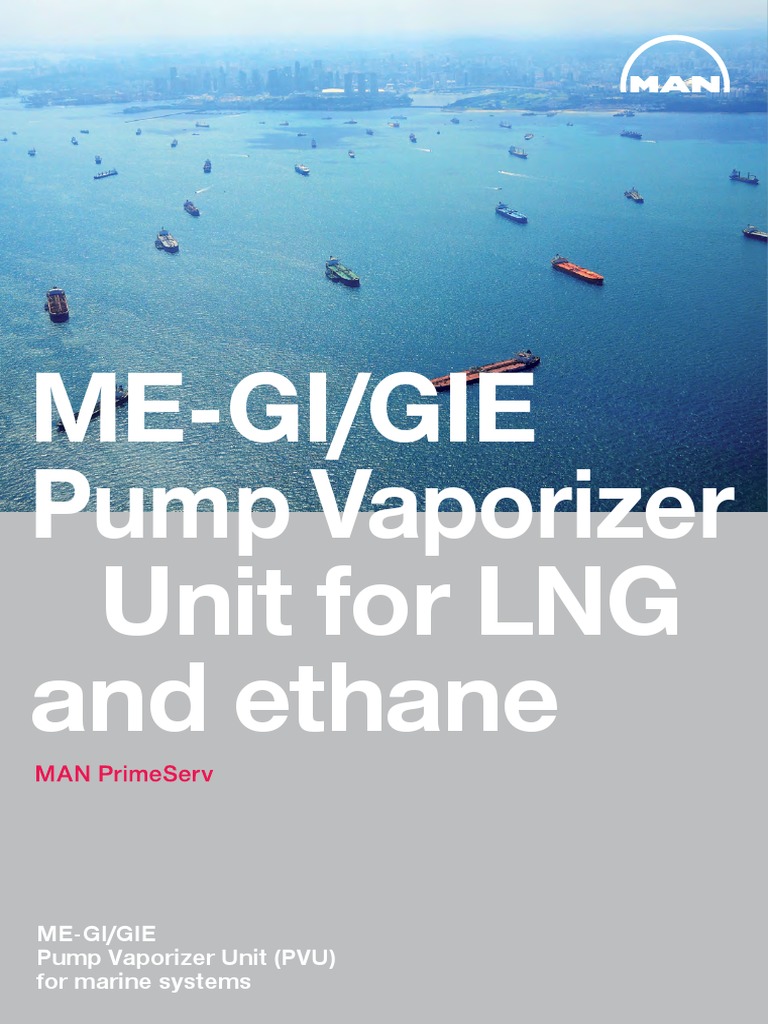 Me Gi Gie Pump Vaporizer Unit For LNG and Ethane Eng | PDF | Pump ...