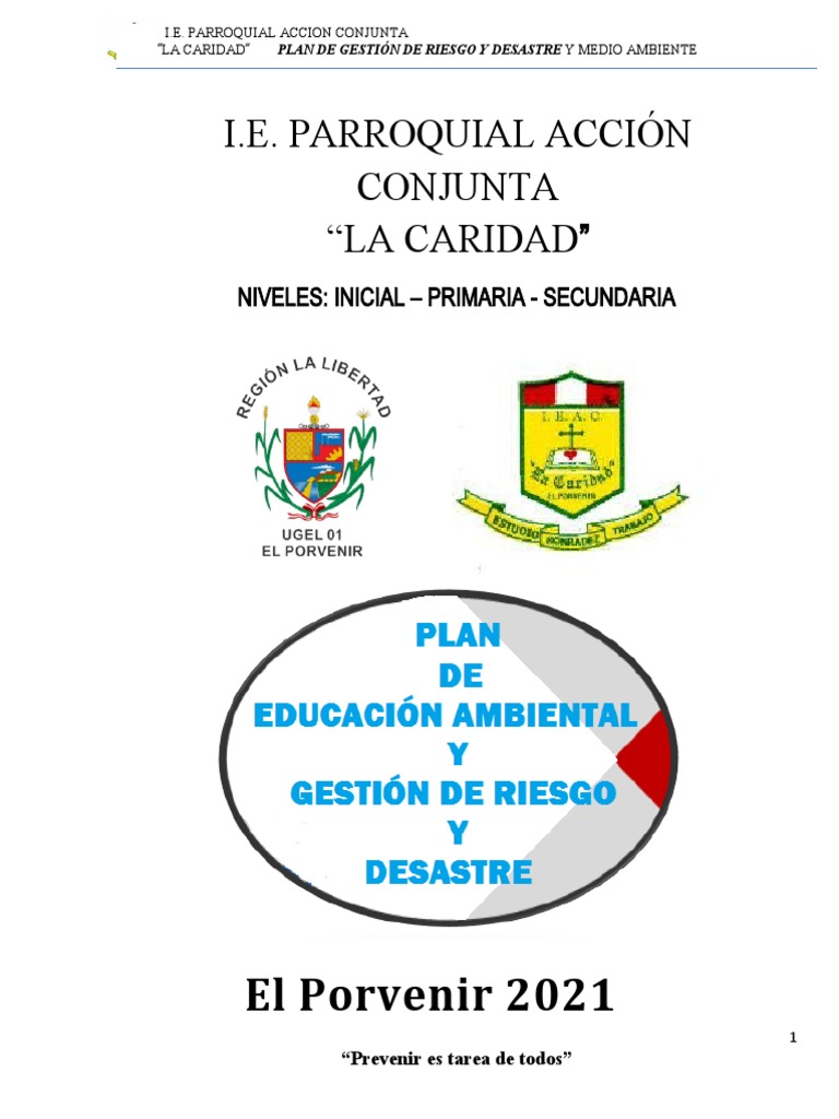 Plan Gestion de Riesgos 2020 - La Caridad Modificado - Ultimooooooooooooo | PDF | Riesgo