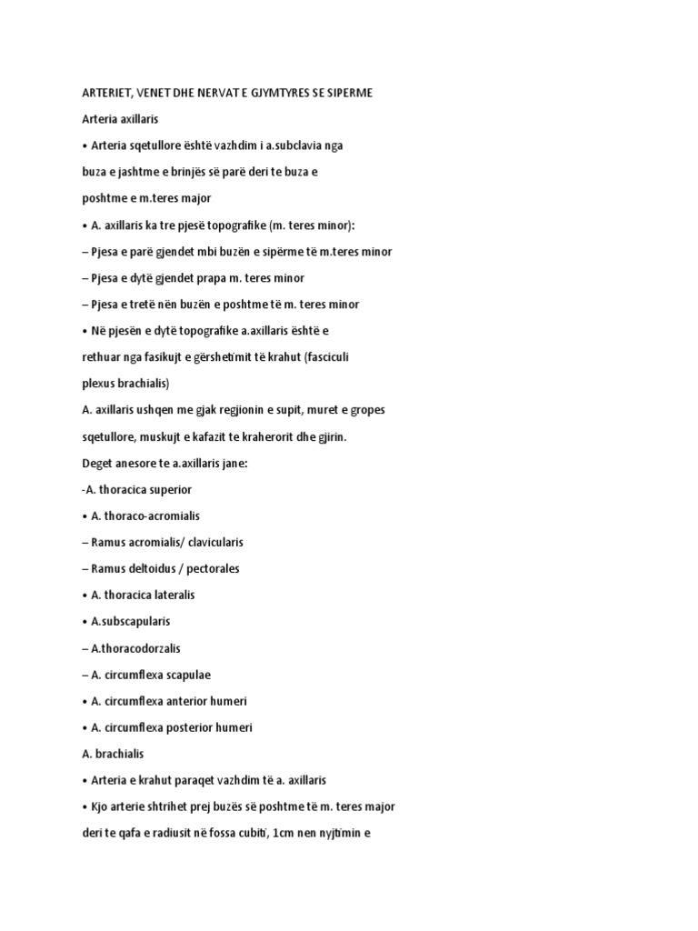 Arteriet, Venet Dhe Nervat e Gjymtyres Se Siperme | PDF