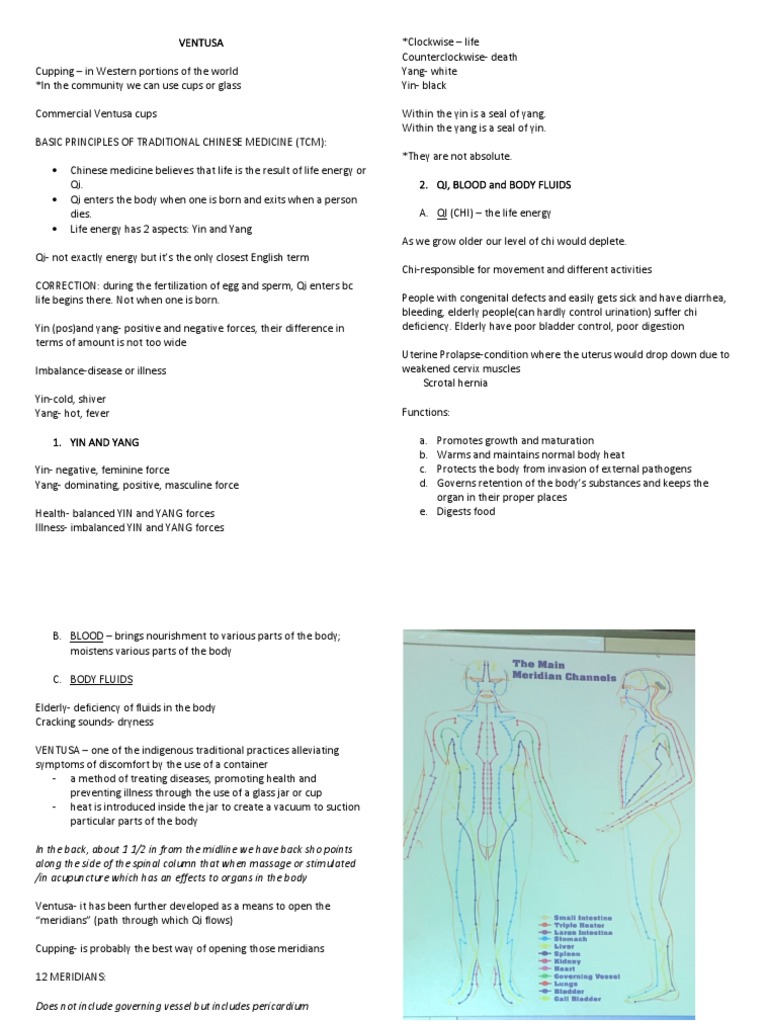 VENTUSA | PDF | Yin And Yang | Qi