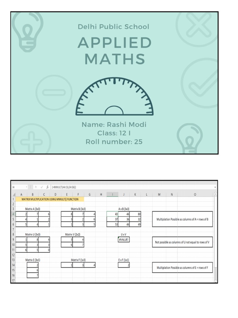 Applied Maths Project | PDF