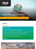 Anatomie du Corps Géniculé Latéral | PDF | Système visuel | Vision