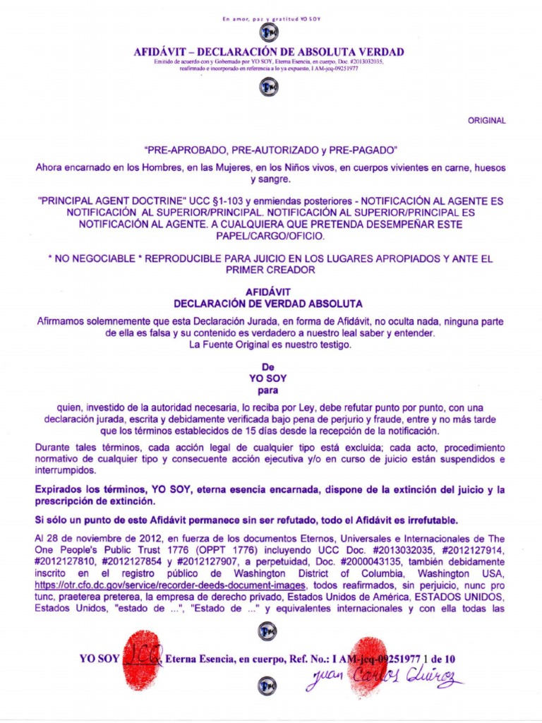 Affidavit Español Actualizado Img20221201 - 14035256 | PDF