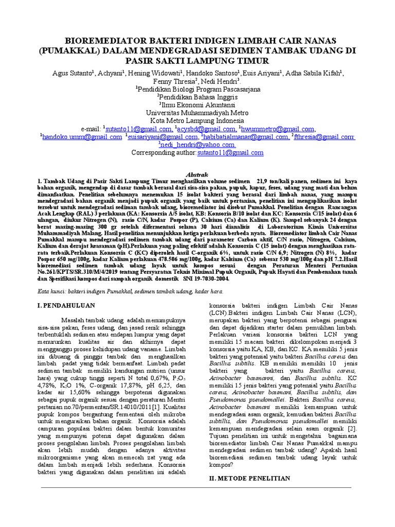 Agus Sutanto Artikel Um Metro q3 Pebruari 2010 | PDF