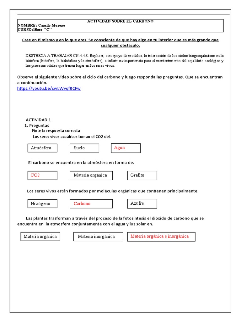 ACTIVIDADCARBONO | PDF | Ciclo del carbono | Fotosíntesis
