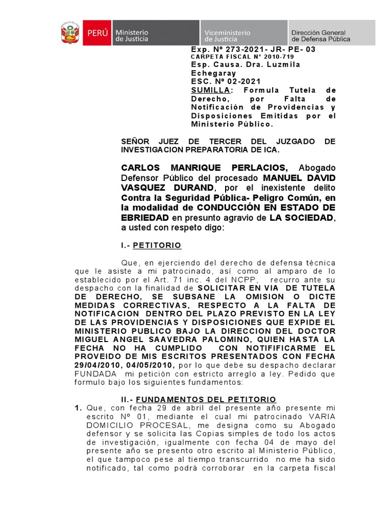 Modelo Simple de Tutela de Derechos | PDF | Ley procesal | Ley Pública