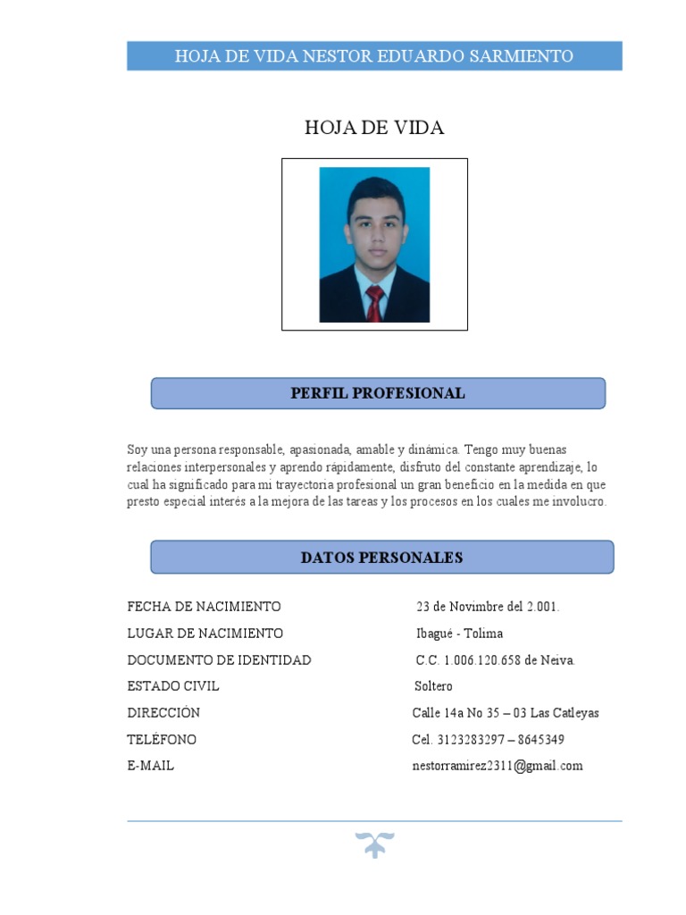 Hoja de Vida Nestor | PDF