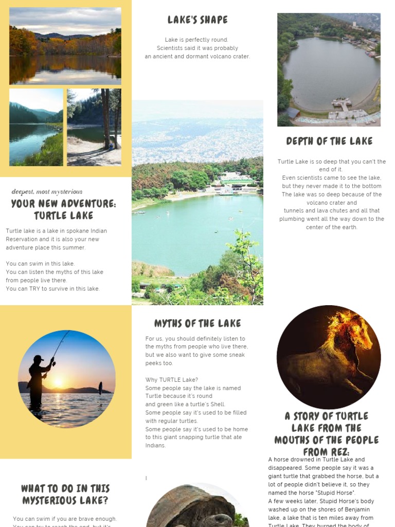 Yellow and White Product Trifold Brochure | PDF | Lake | Turtle