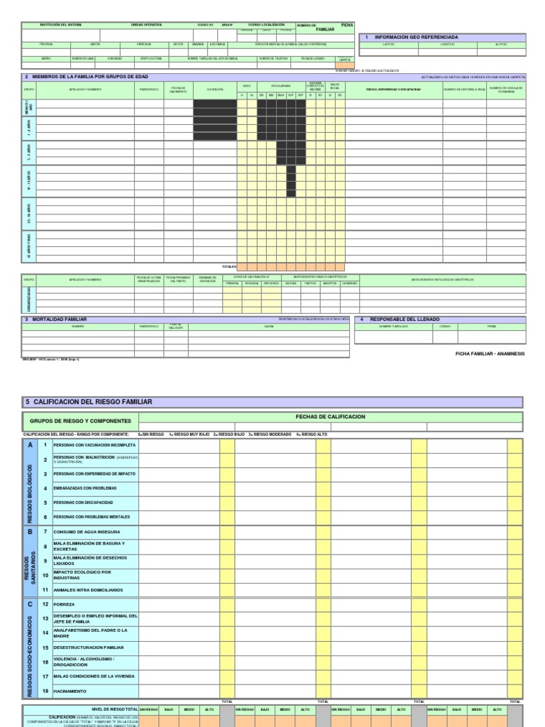 Ficha Familiar PDF Imprimir | PDF