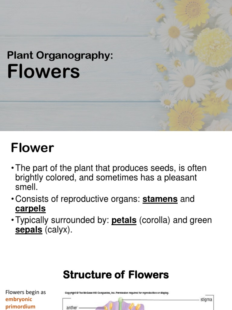 Module 8 - Flowers | PDF | Flowers | Petal