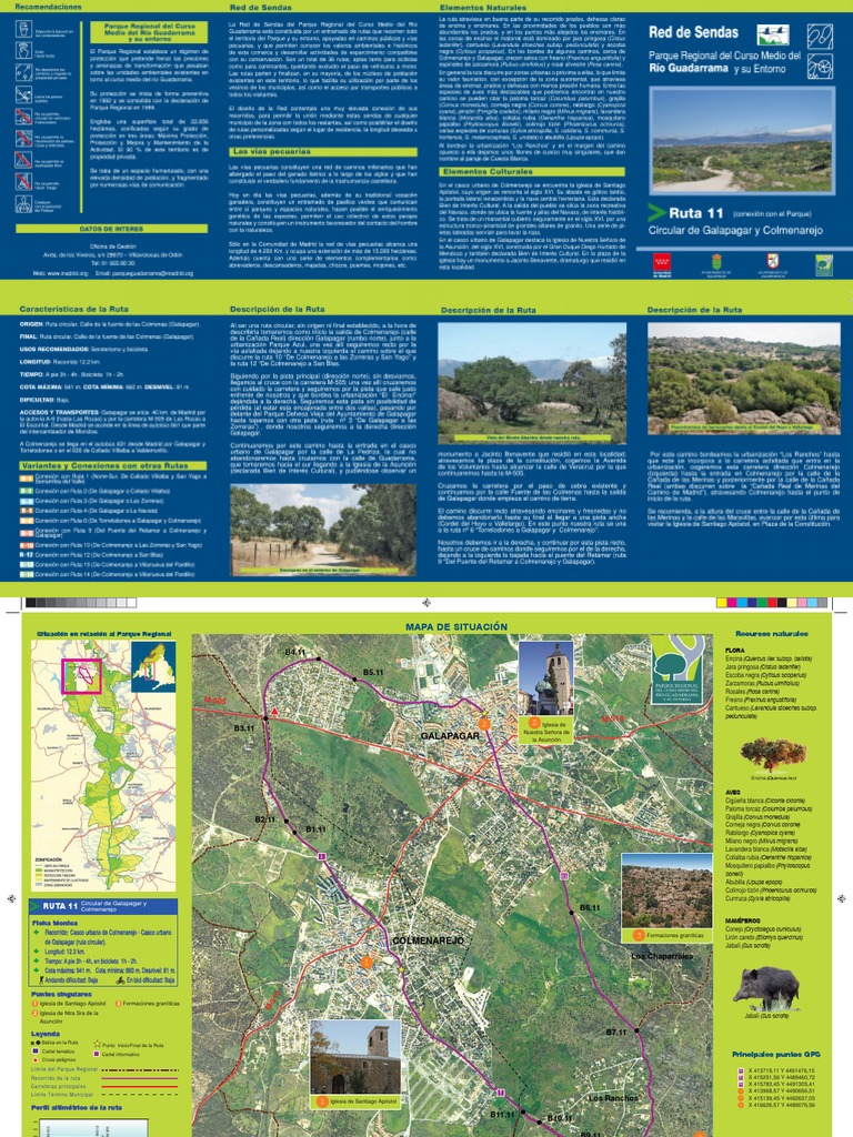 PRG Ruta 11 Completo | PDF | Aves | Aves holarctic