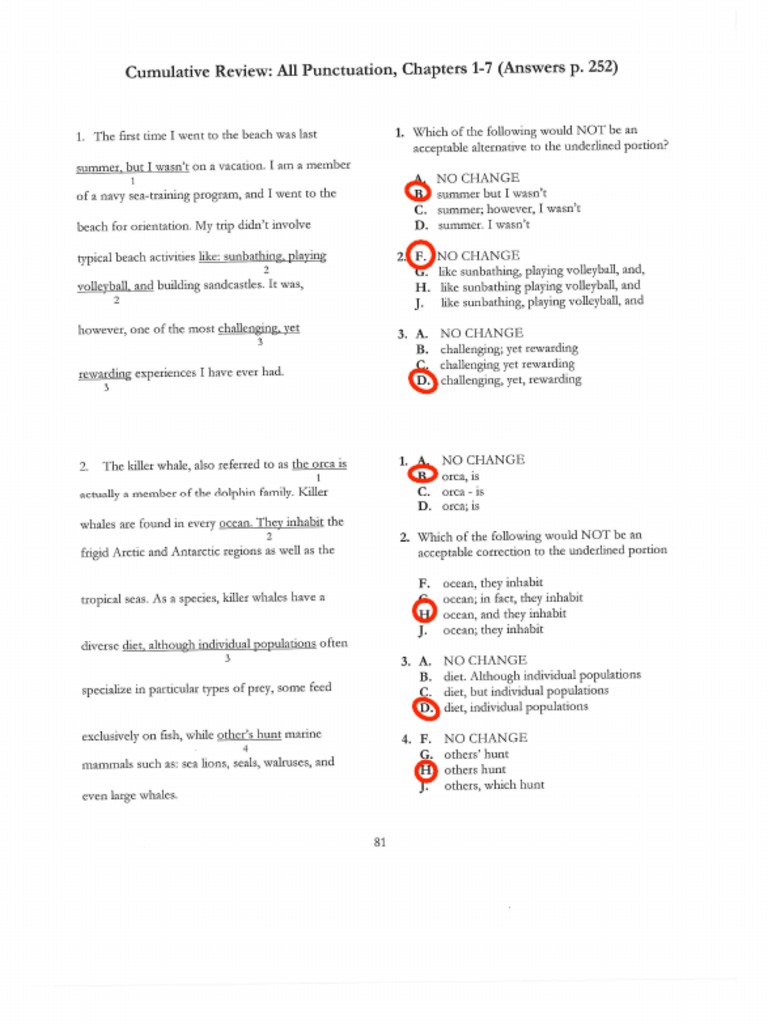 Sat Grammar Cumulative Review Quiz 1 | PDF