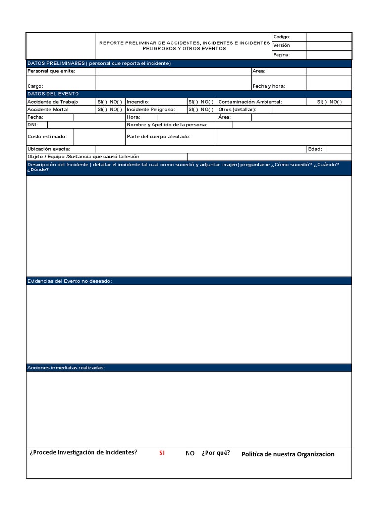 Reporte Preliminar (Modelo 1) | PDF