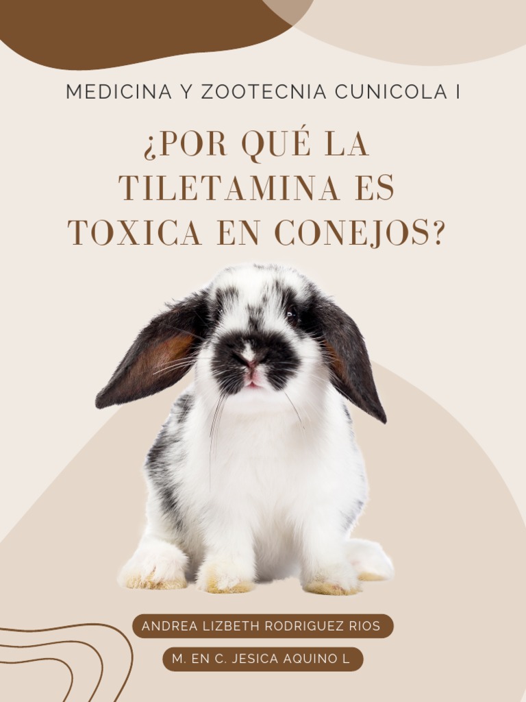 Tarea Tiletamina | PDF