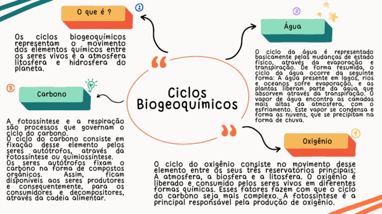 Mapa Mental Ciclos Biogeoquímicos - Bioquímica | PDF