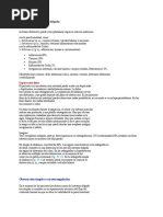 Protocolo Hints | PDF | Neuroimagen | Vértigo
