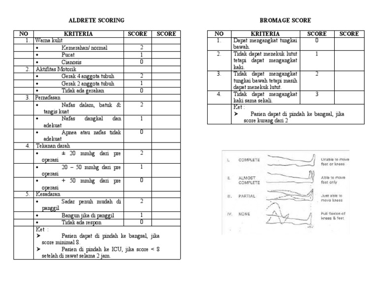 Aldrete Dan Bromage Skor | PDF