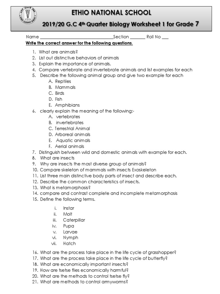 Grade 7 Biology Worksheet (4th Quarter) | PDF | Insects | Bees