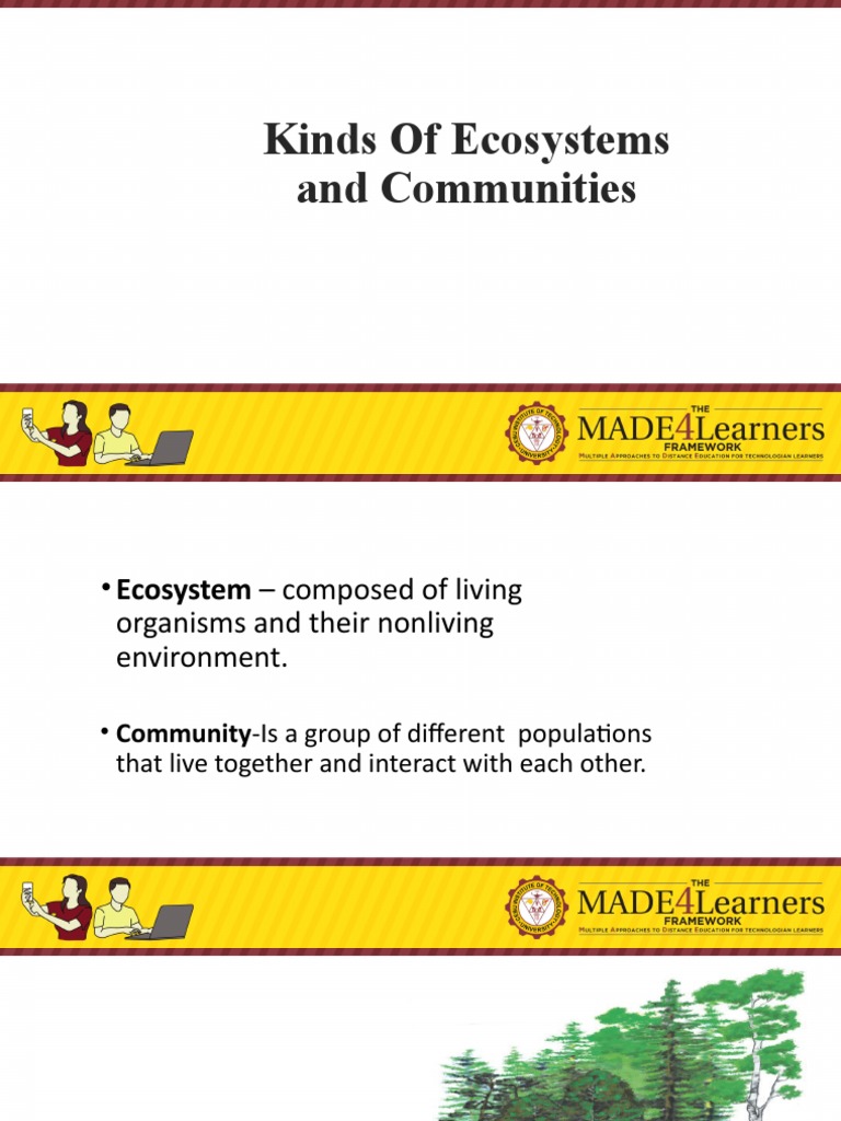 Lesson 4 Ecosystems and Communities | PDF | Grassland | Forests