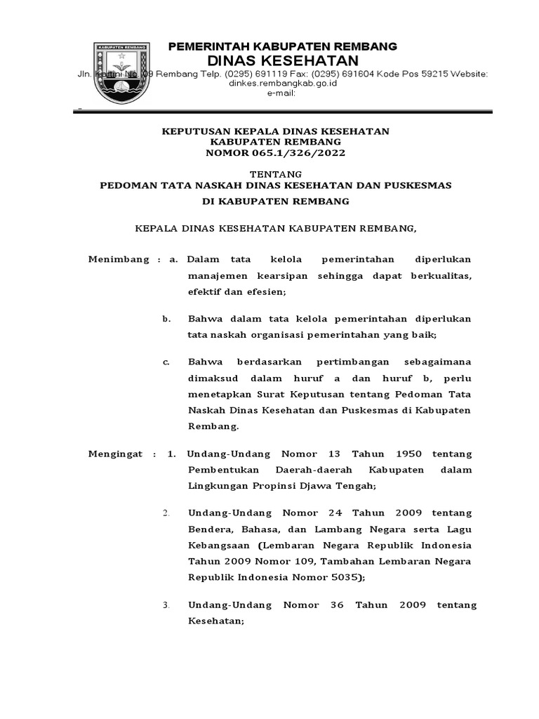 SK Tata Naskah Dinas Kesehatan | PDF