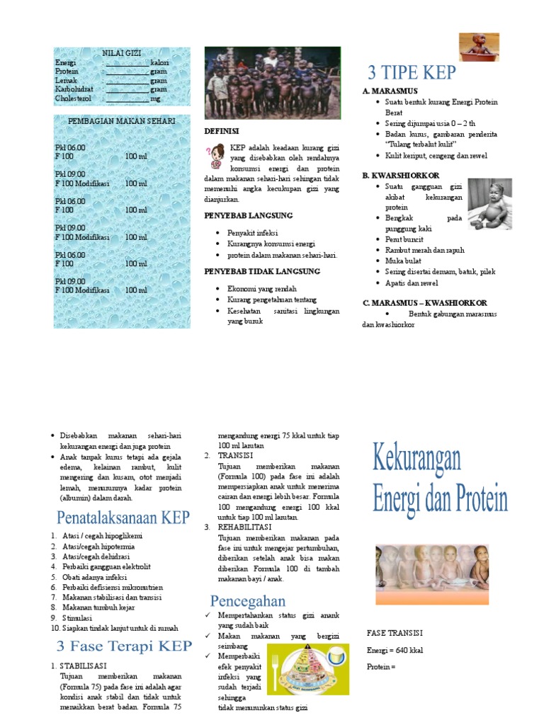 Leaflet Kurang Energi Protein | PDF