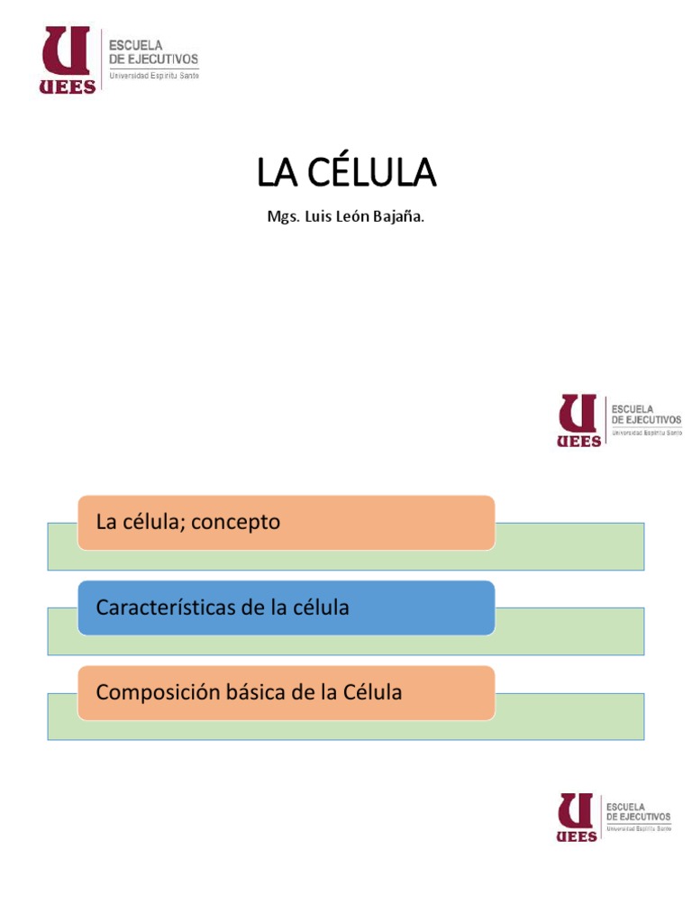 Características y Composición Celular | PDF
