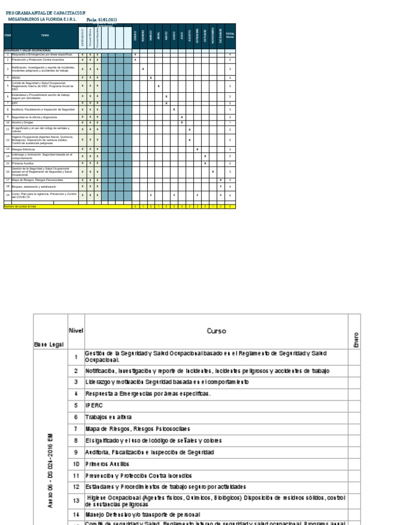 Programa Anual de Capacitacion - 2023 | PDF | Seguridad y salud ocupacional | Higiene Ocupacional