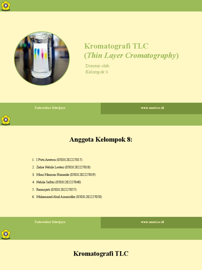 Kromatografi TLC | PDF
