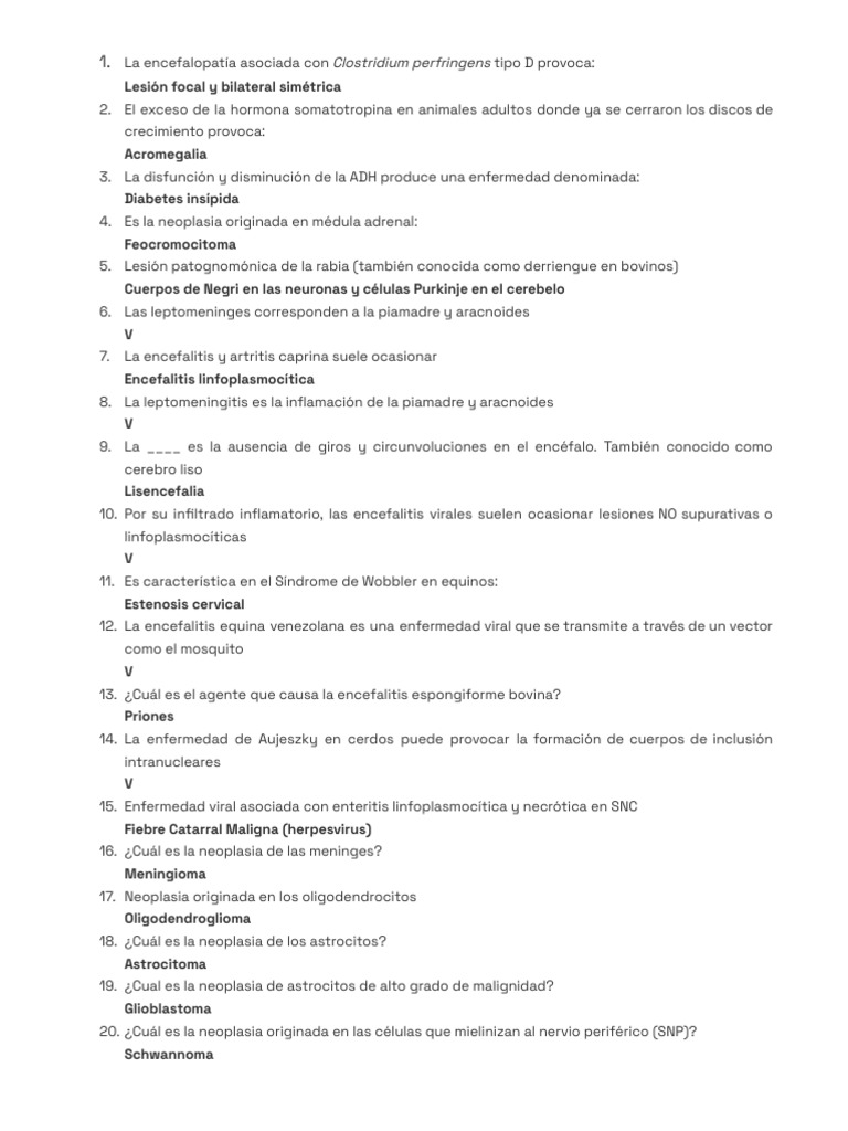 Kahoots | PDF | Diabetes | Sistema nervioso central