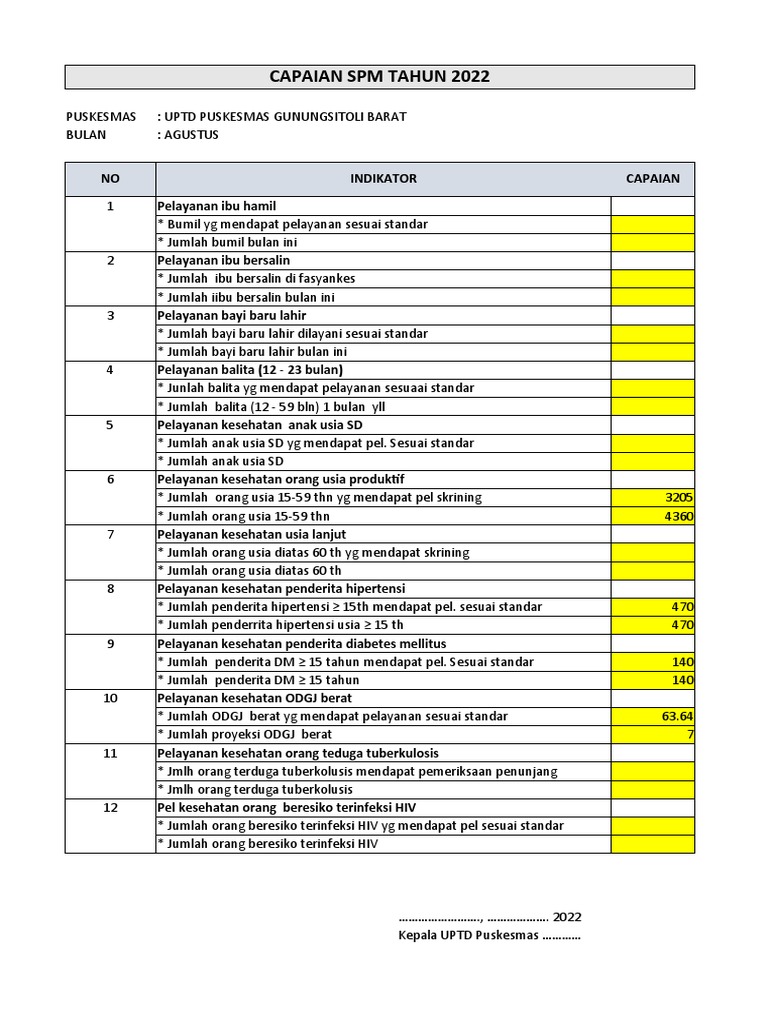 LAPORAN CAPAIAN SPM BULANAN PUSKESMAS 2022 Data Real | PDF