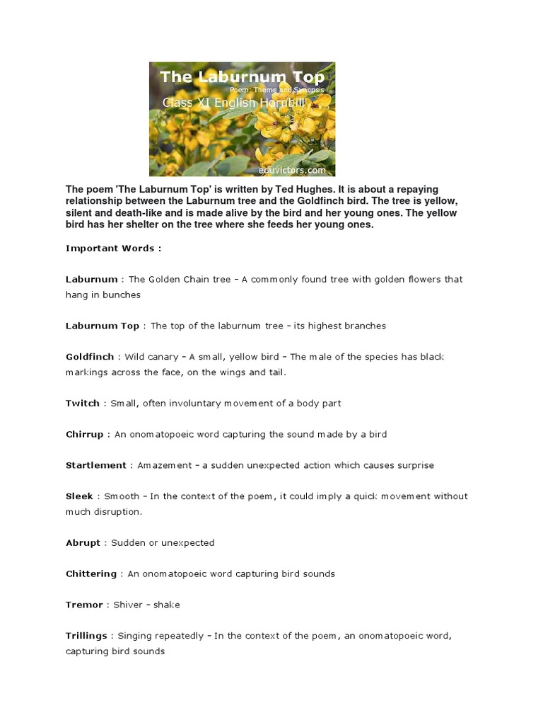 Laburnum Top Notes | PDF